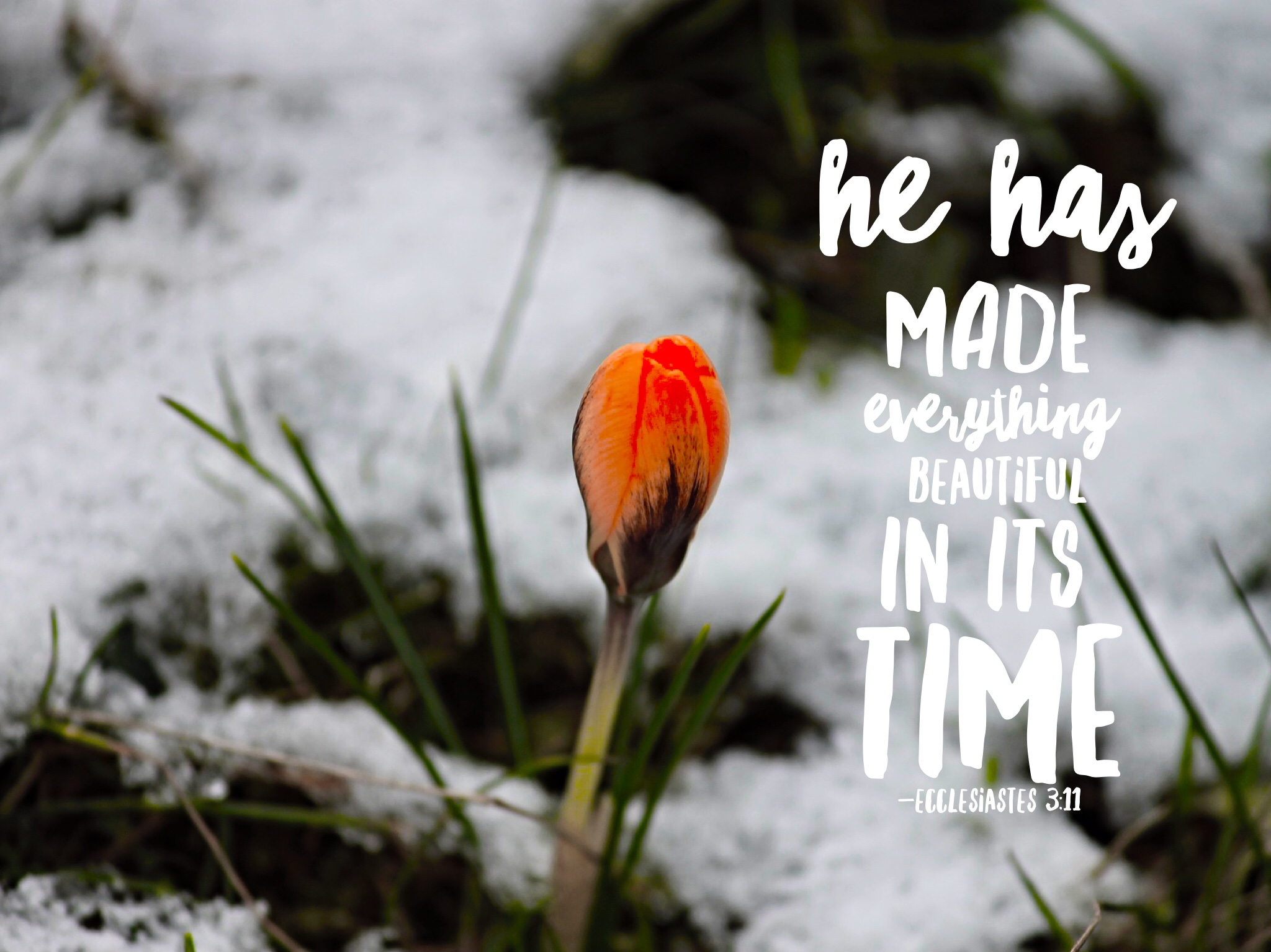 Searching For Spring – And Finding It – Into the Foolishness of God