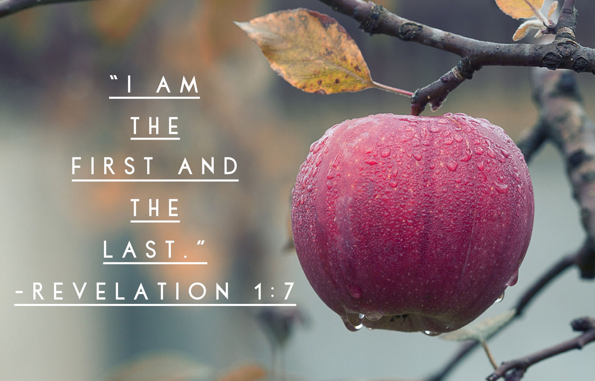 Plucking Forbidden Fruit – Into the Foolishness of God